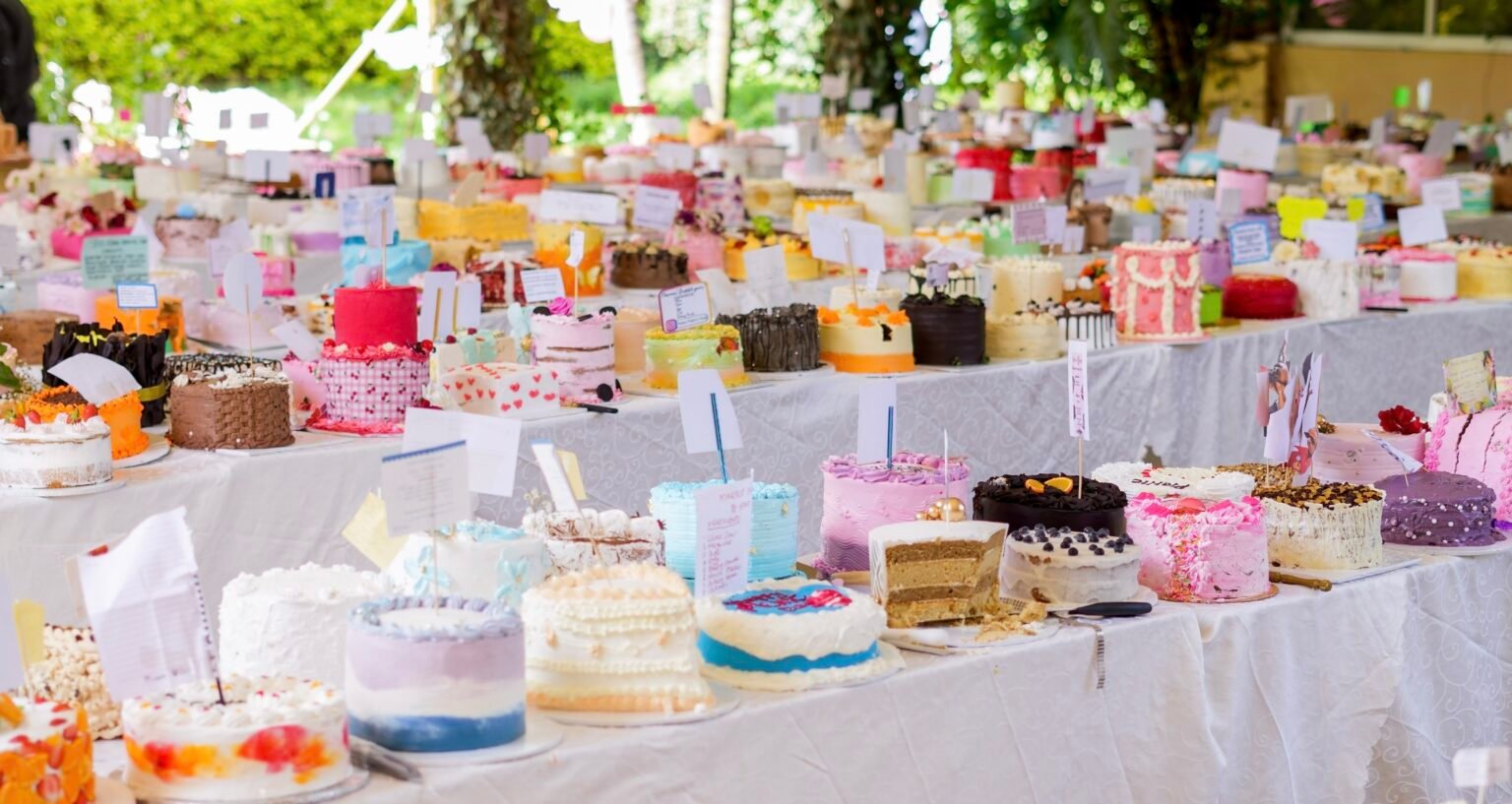 Cake Picnic Event – Cakehearts International Hospitality Institute